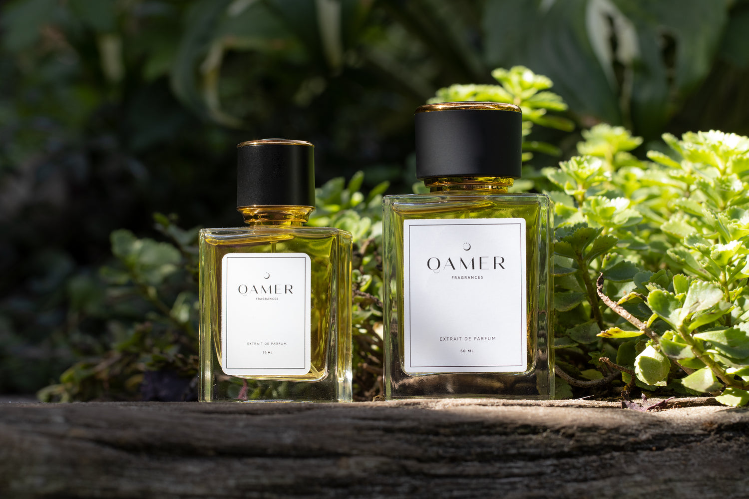 QAMER - Die besten Duftzwillinge